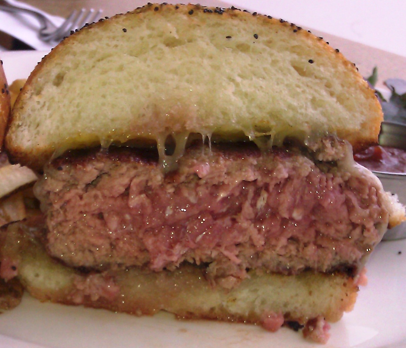 Honest and Accurate Burger Reviews by TheBurgerBusters: Salt's Cure ...