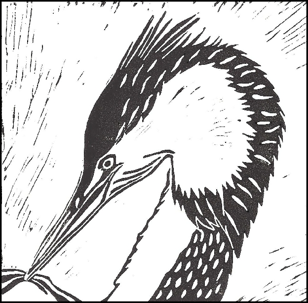 The Natural Year: Great-crested Grebe Lino-cut