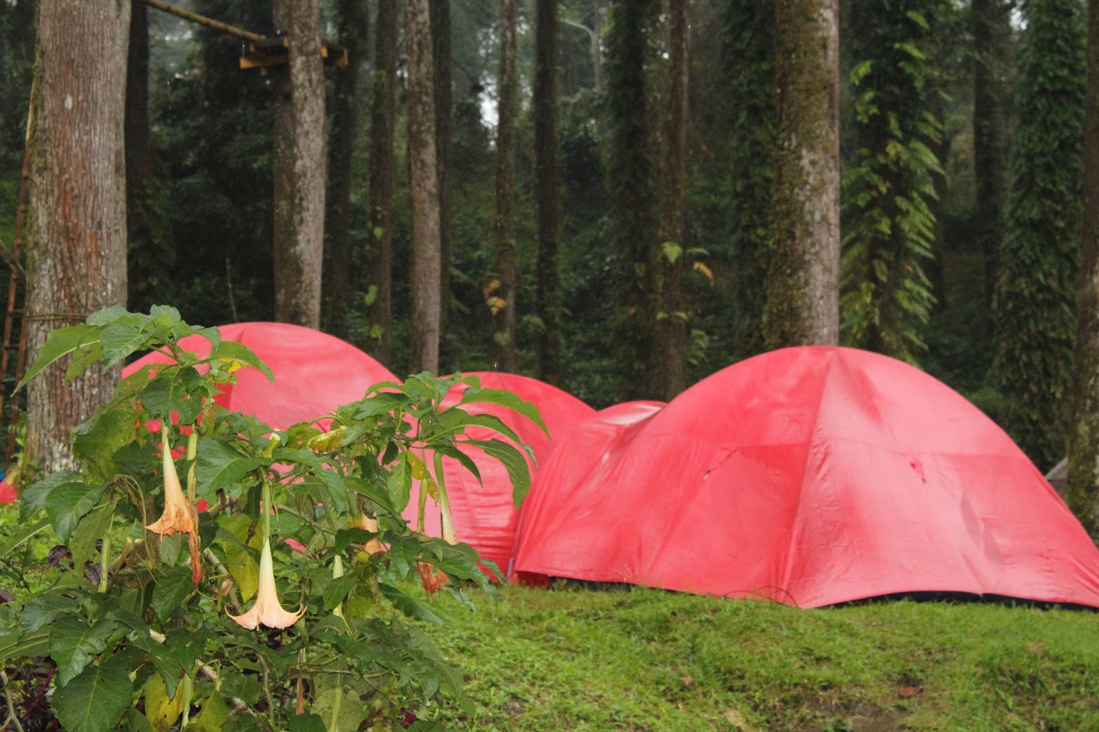 Mitra Camping Purwokerto : Sewa tenda camping purwokerto | rental tenda ...