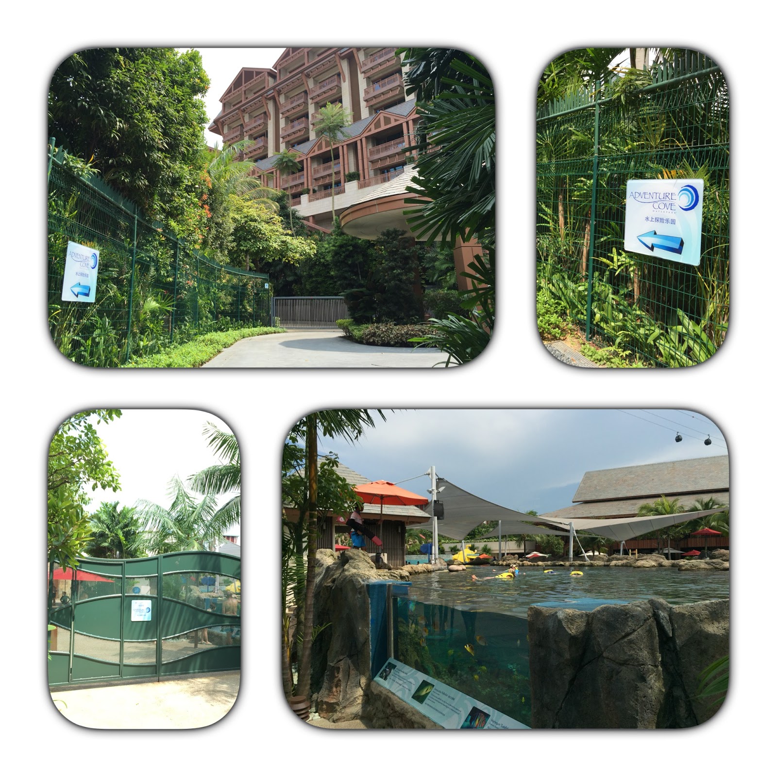 Observe the world: Resort World Sentosa RWS Equarius Hotel