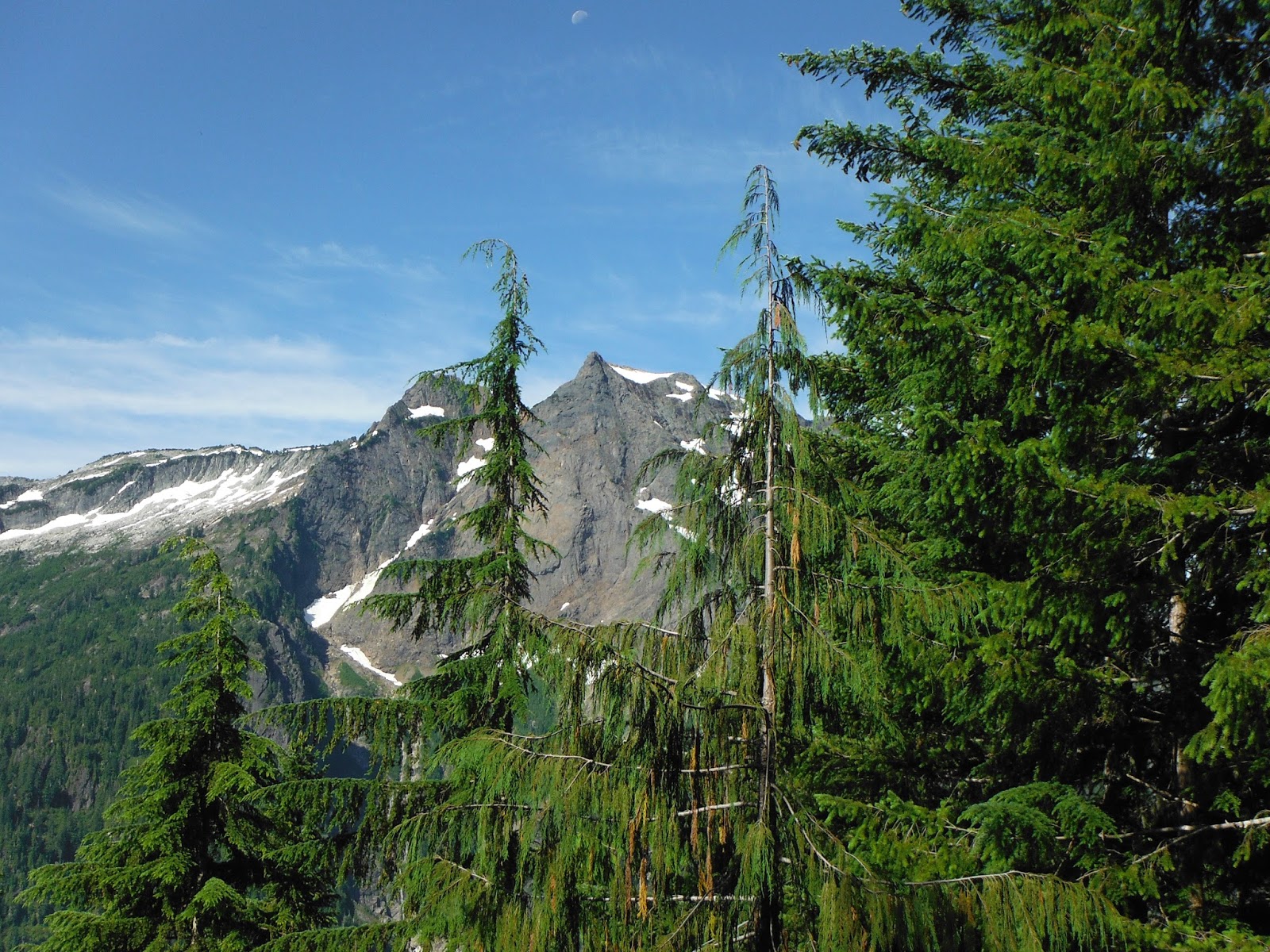 Snobridger's Hiking in the Pacific Northwest: Mount Dickerman v. Mt. Si ...