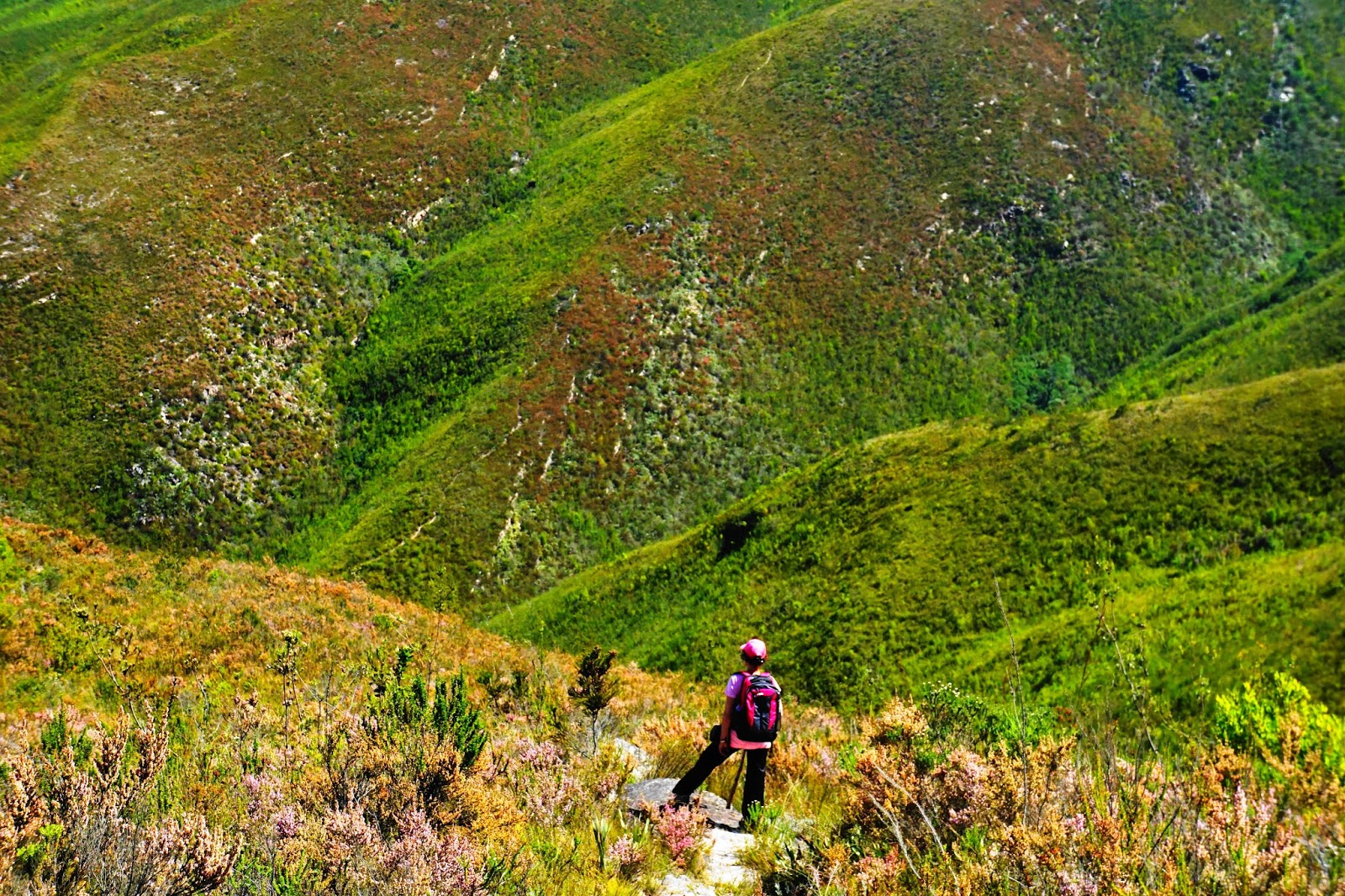 Lazarow World-Hike-About: 26.07 Outeniqua Pass, George: Pass to pass.