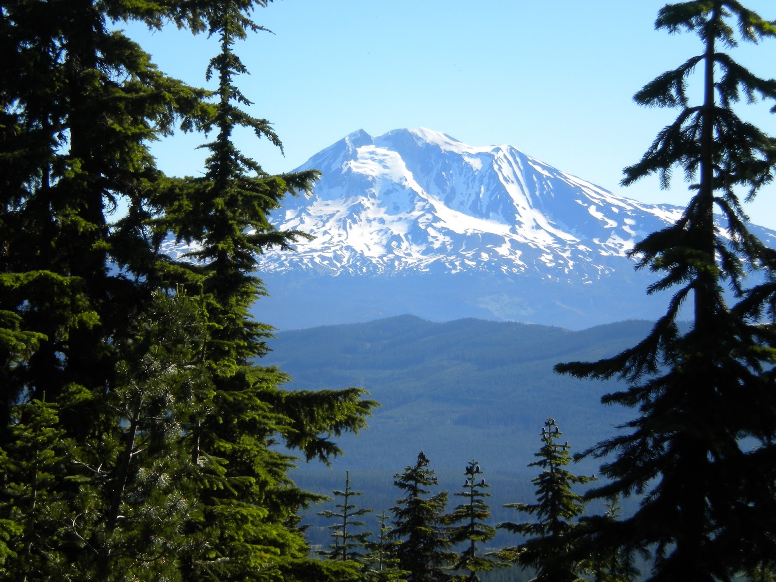 Rachel and Benny Hike the PCT: Trout Lake to Cascade Locks