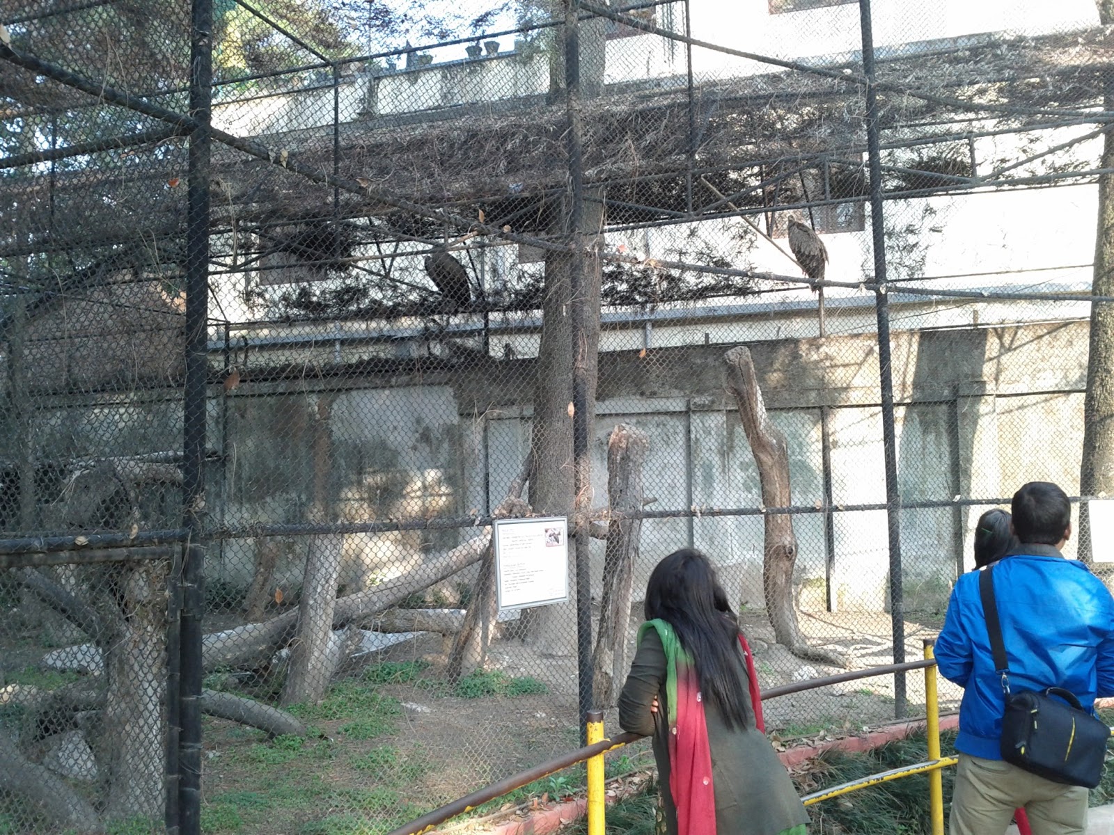 A review of Nepal's only Zoo - Central Zoo of Kathmandu, Nepal | The ...