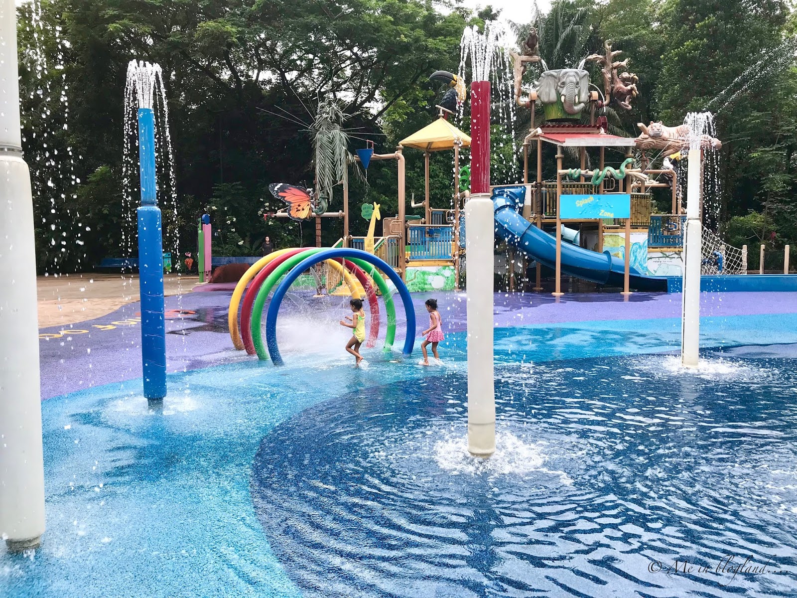 Singapore Zoo Water Park