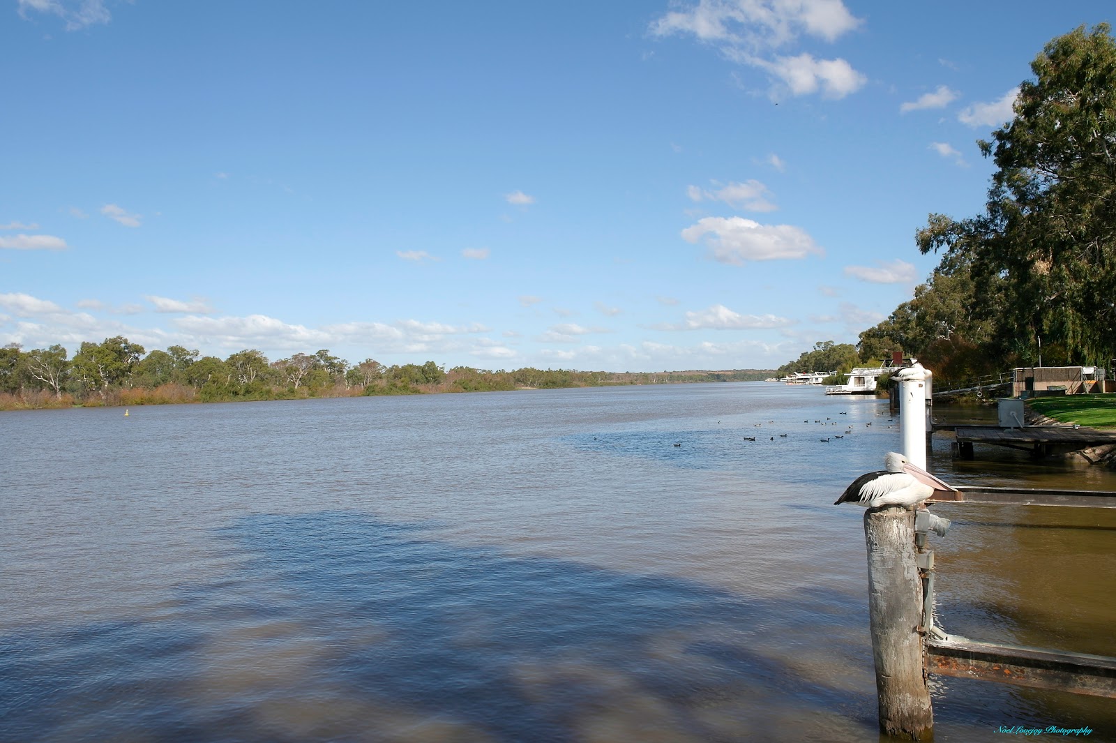Can Go Around Australia: Murray River, Lower Reaches