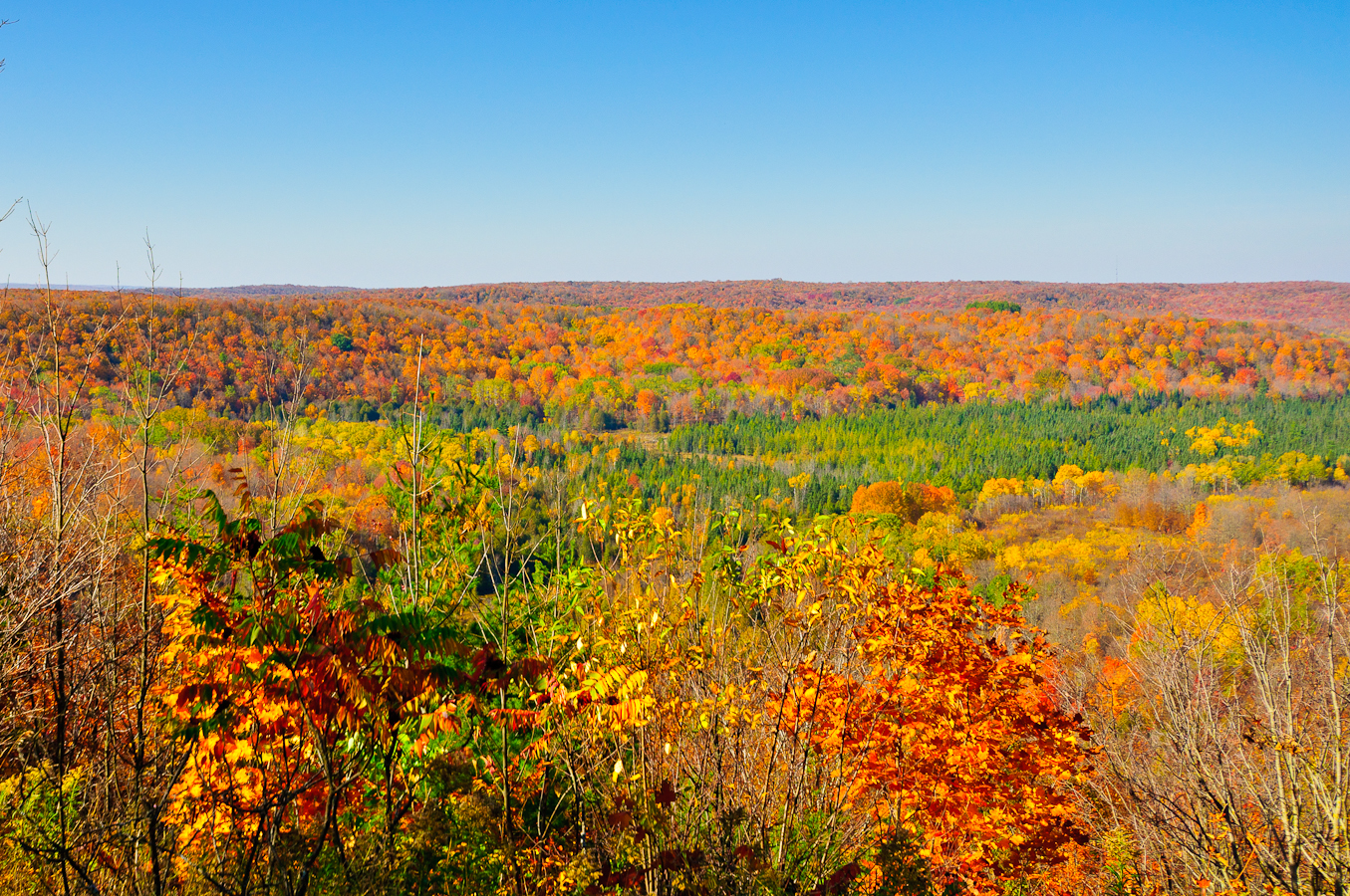 Steve Q Photo: Up North Michigan Fall Color - Day Two - October 9, 2011