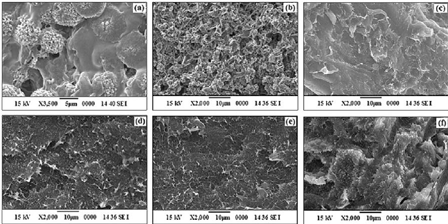 Textile Technology: What is Ultra-fine fiber ? What is Microfiber ...
