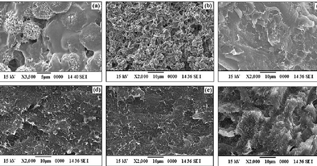 Textile Technology: What is Ultra-fine fiber ? What is Microfiber ...