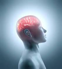 Continuing Education Resources: A Peek into the Hoarding Brain