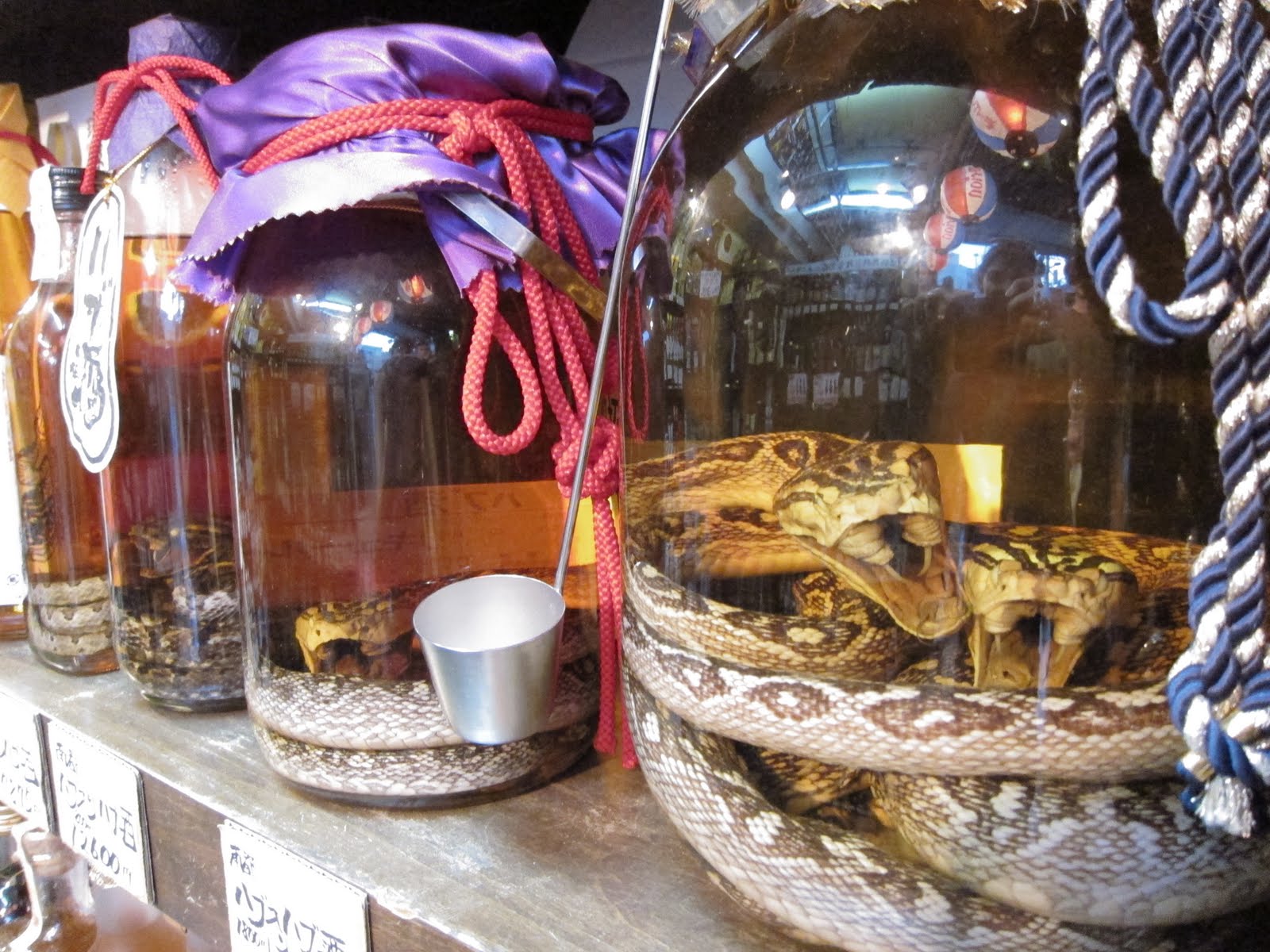 JETing through Jay-pan: Silver Week! (Sept. 18-24): Okinawa