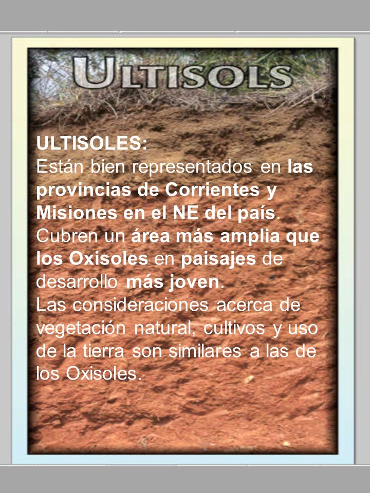 TARAGÜI PORÁ: Tipos de suelos en Corrientes