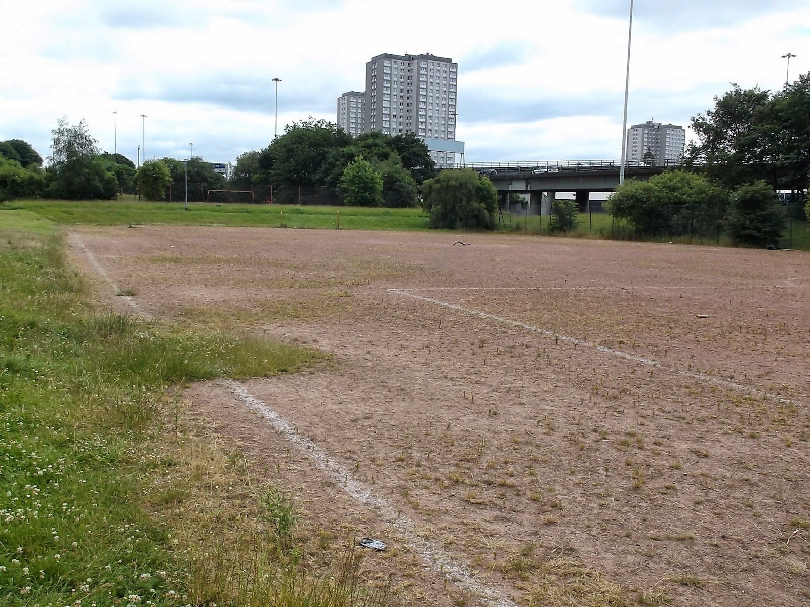 Martha Wardrop - Green Councillor for Hillhead: June 2014