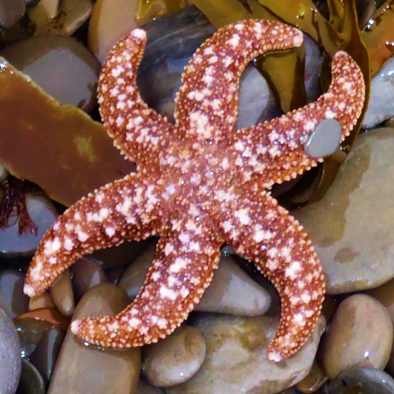 Canada by Degrees: July 2011