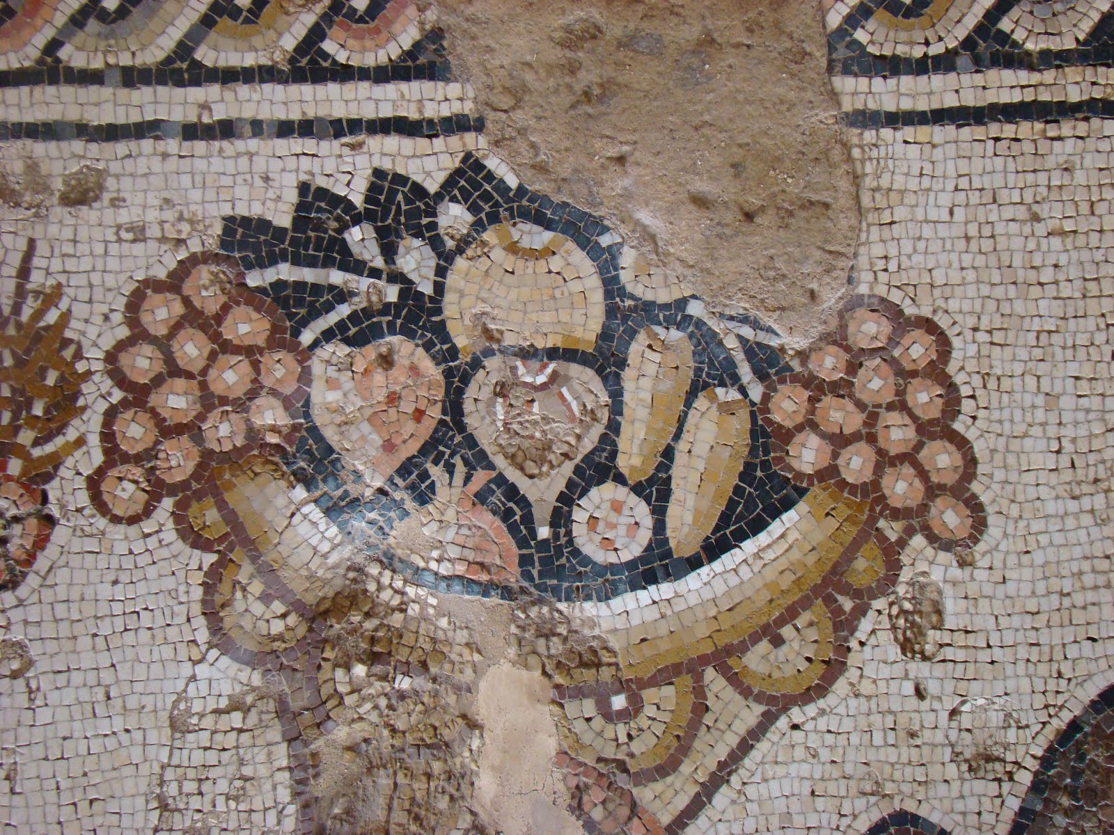 DOMVS ROMANA: Grata poma, la fruta en la antigua Roma