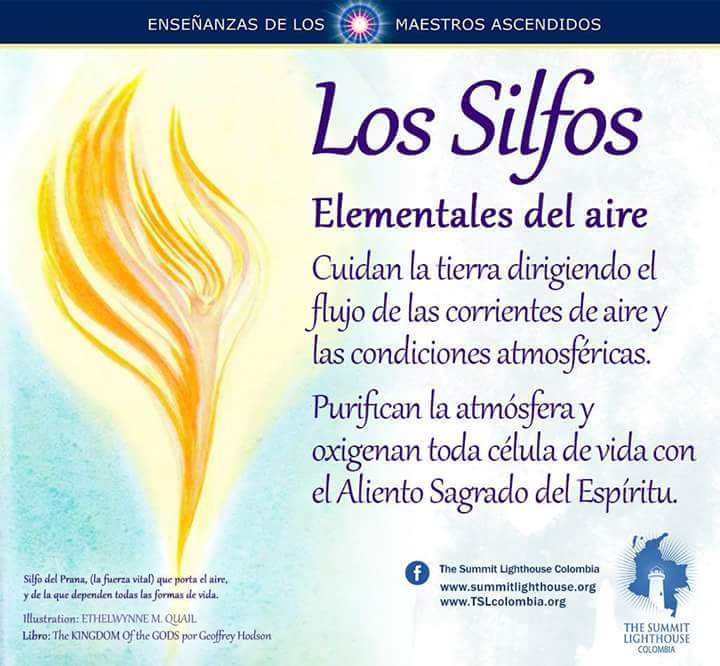 Planeta Ascensión: Elementales de la Naturaleza