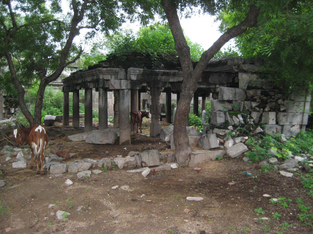 Tamilnadu Tourism: Jalanatheeswarar Temple, Thakkolam, Vellore