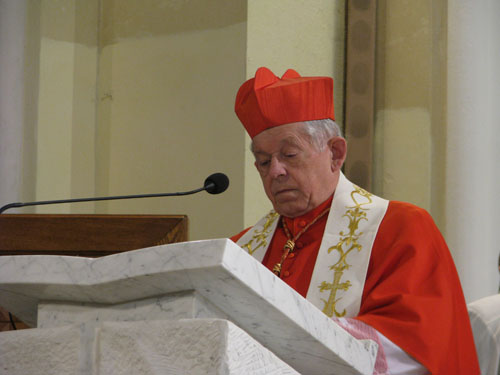 Dobra Nowina i katolickie wiadomości. Ciekawe informacje z Polski i ...