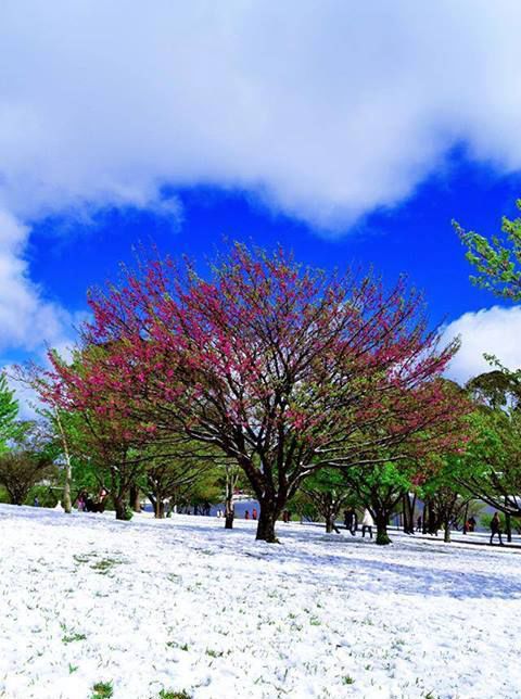 Meanwhile In Brazil (42 Pics) - STATIONGOSSIP