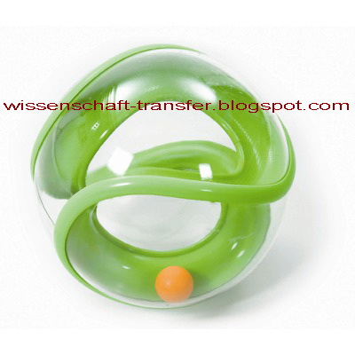 Wissenschaft Transfer: MOTOR SKILLS DEVELOPMENT