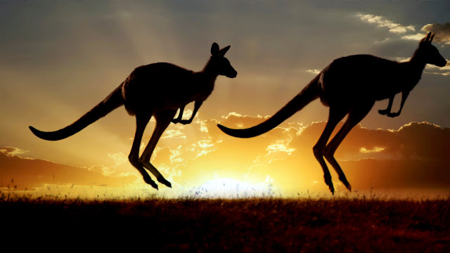 5 Things I Love About Australia - Corinna B's World