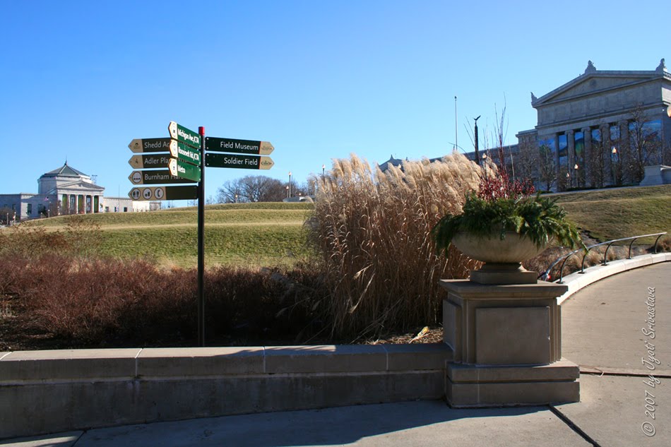 Public Art in Chicago: Museum Campus - Public Art..