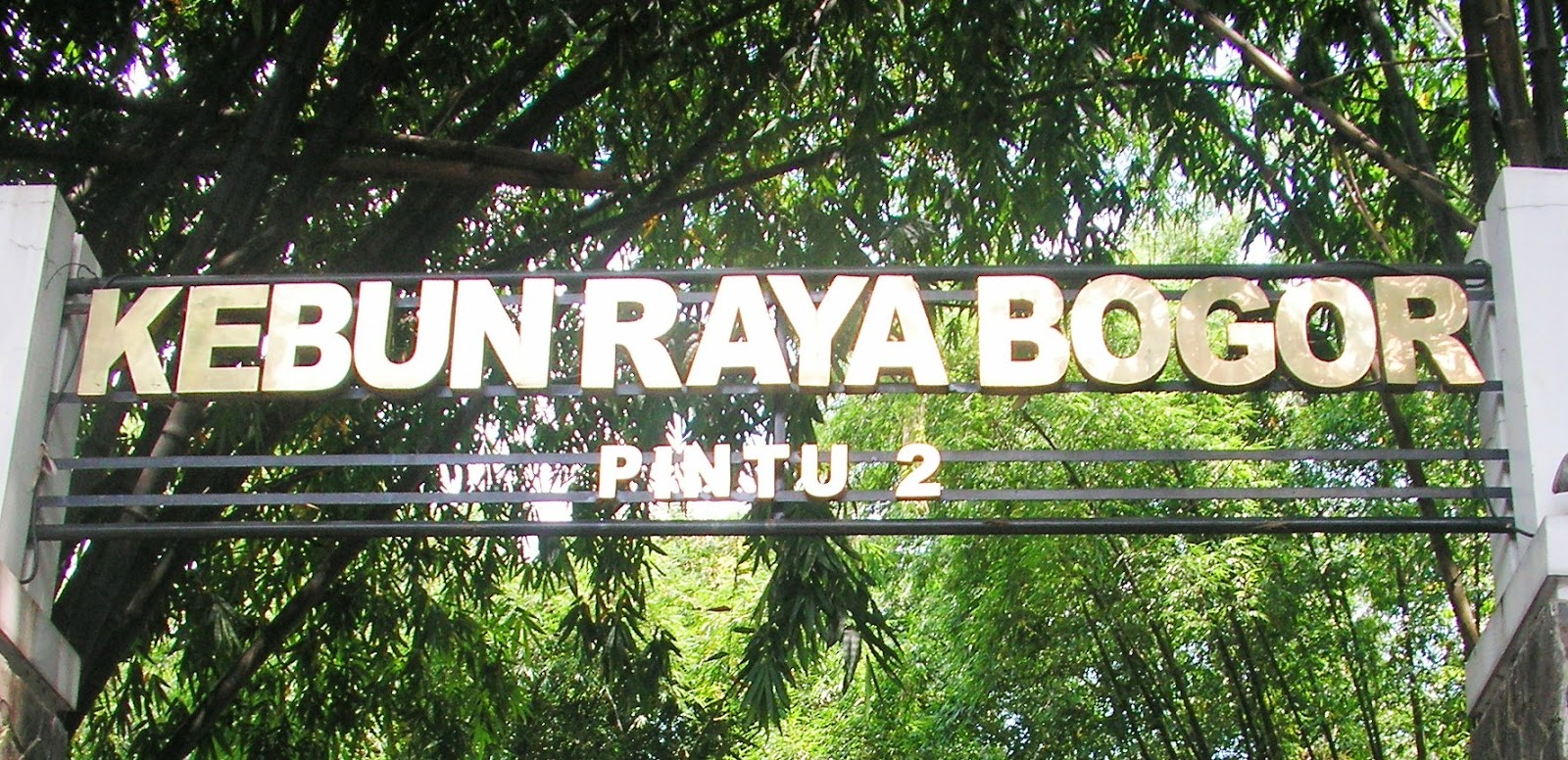 Wisata Asri Yaaa!!!! Cuma Di Kebun Raya Bogor | Potret Wisata