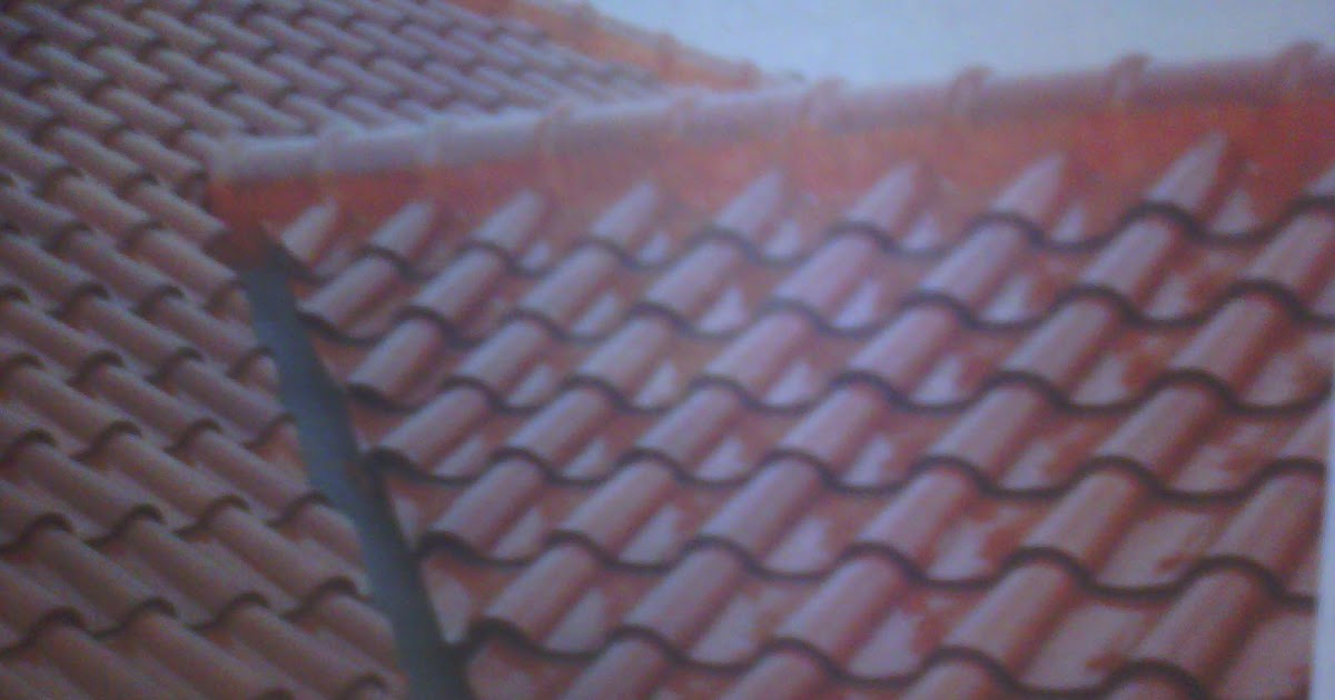 SALING INDONESIA: Tips Memilih Cat Genteng