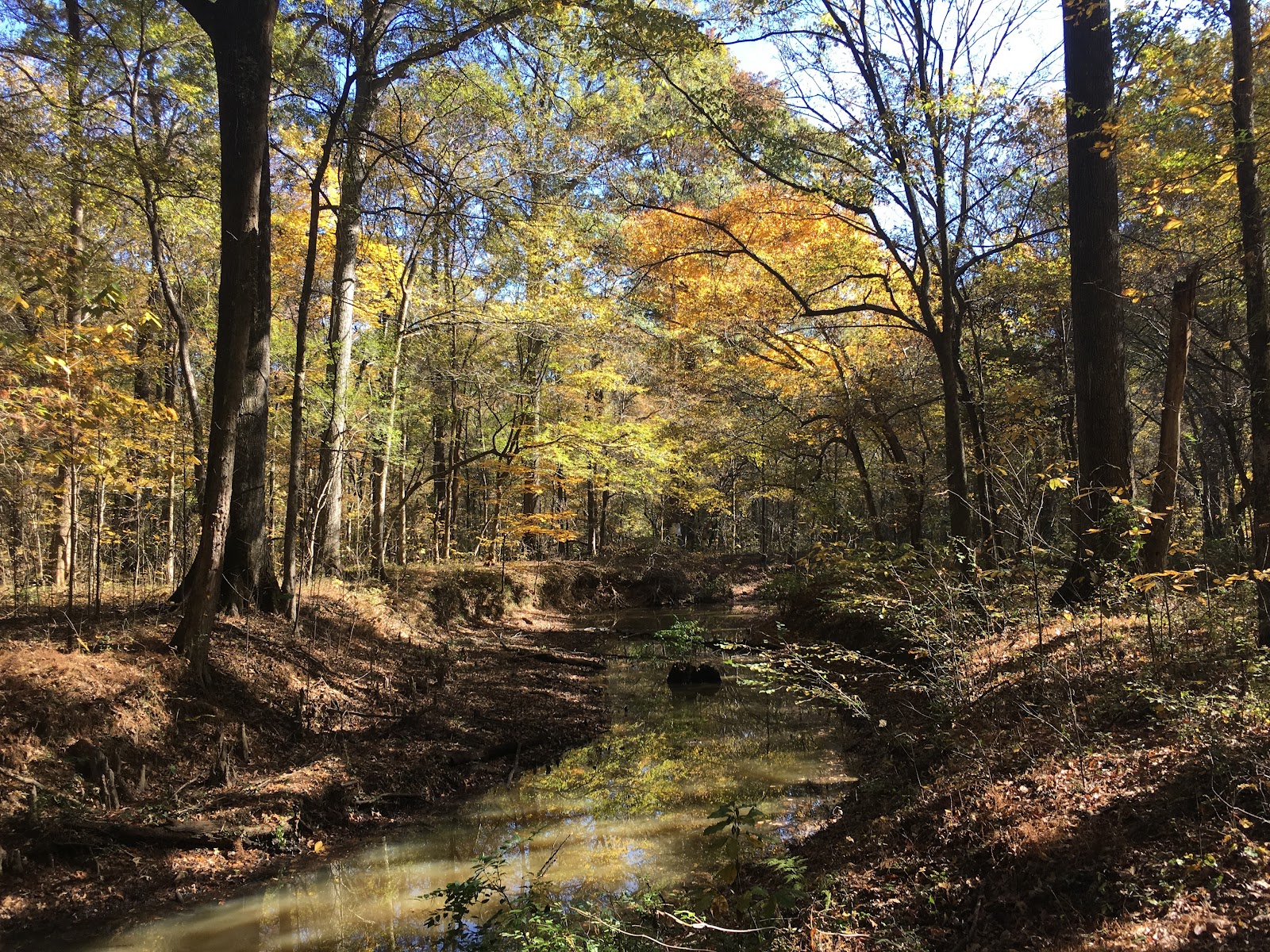 Coldwater River Nature Trails
