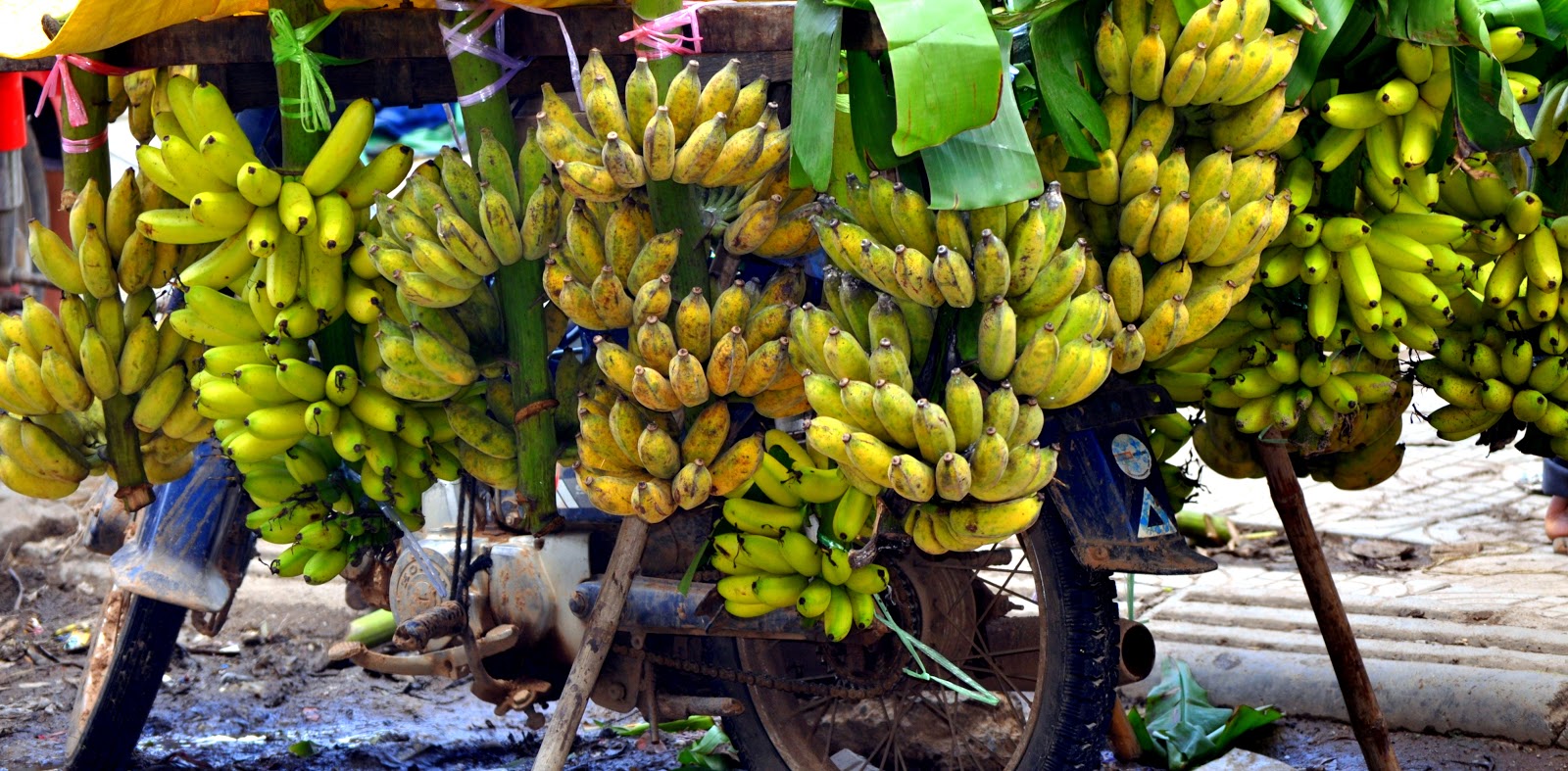 Cambodian Beginnings: Cambodia's National Fruit: Chicken Egg Banana