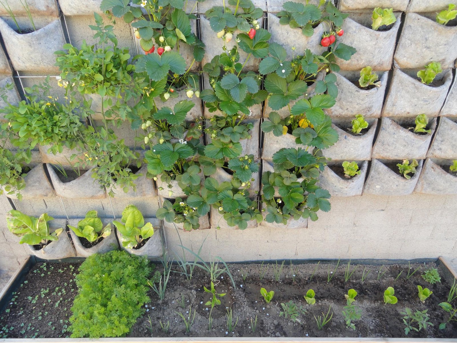 Vertiflor: Huerto urbano en casa