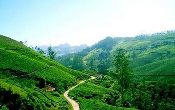 What to See in Devikulam Munnar – Main Attraction Lake and Hill Station ...