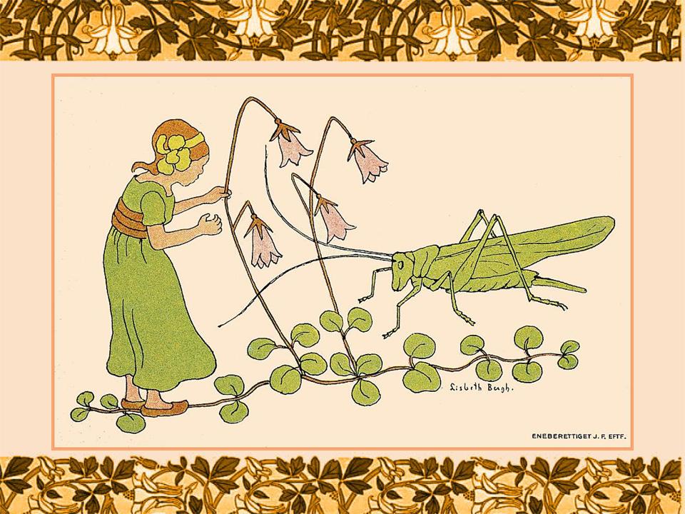 Soloillustratori: Lisbeth Bergh