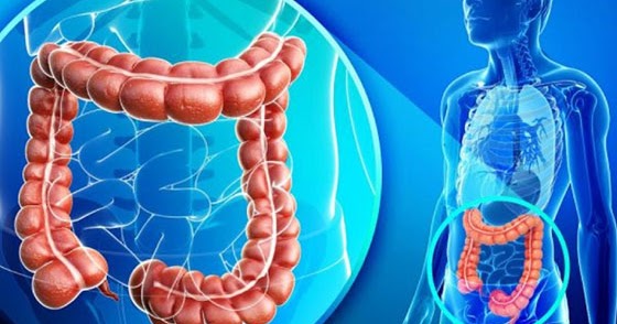 Protocolos e Conceitos: Sangue Oculto nas Fezes