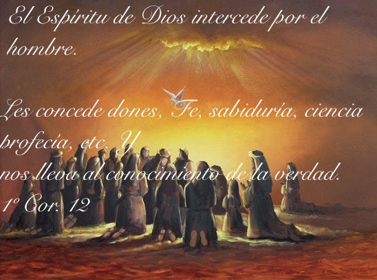 Meditaciones Matinales: DONES PARA LA EDIFICACIÓN