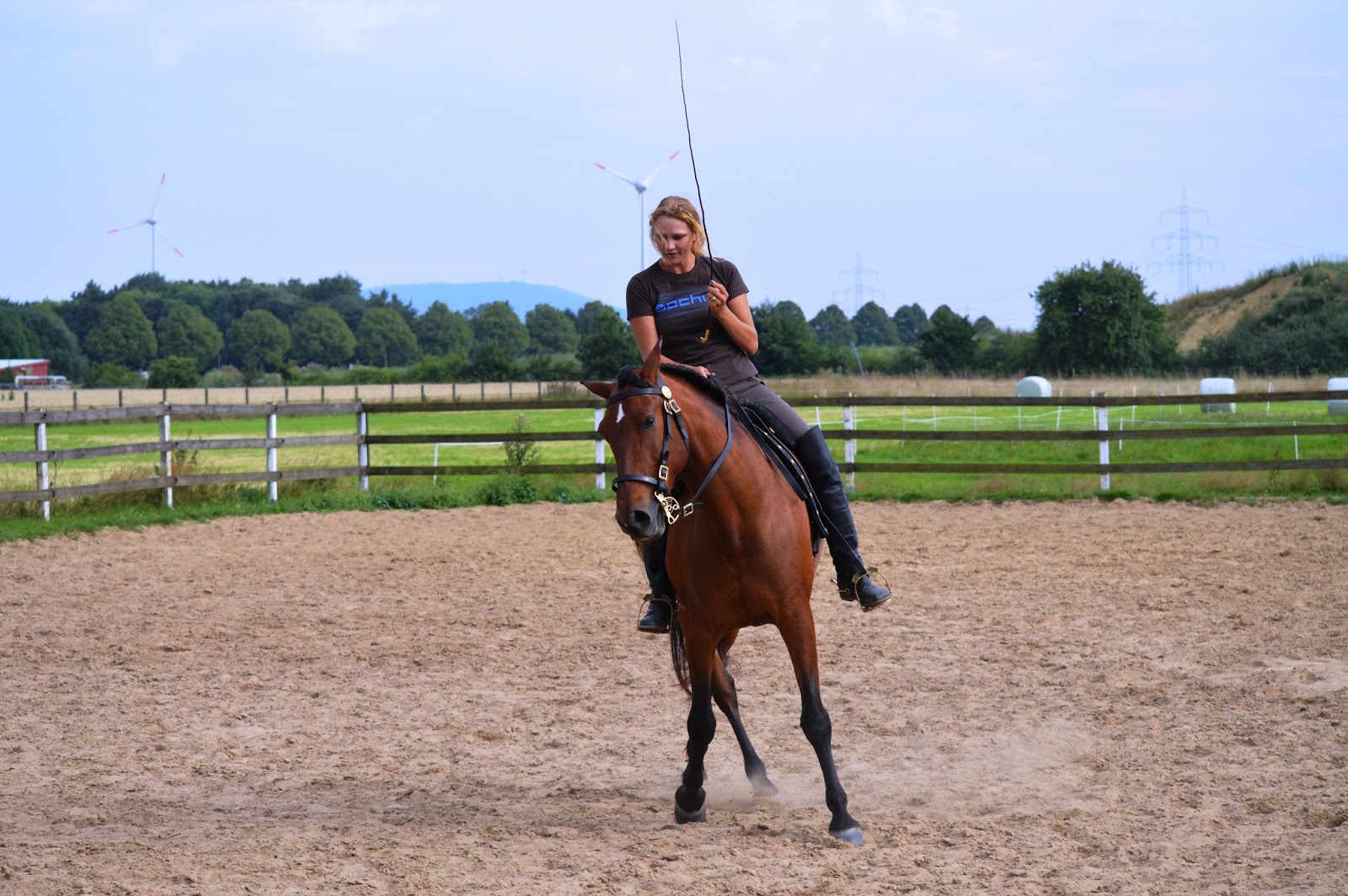 Der Lehrmeister für Ruhe und Geduld: Mittwoch, 07.08.2013 Reiten mit ...