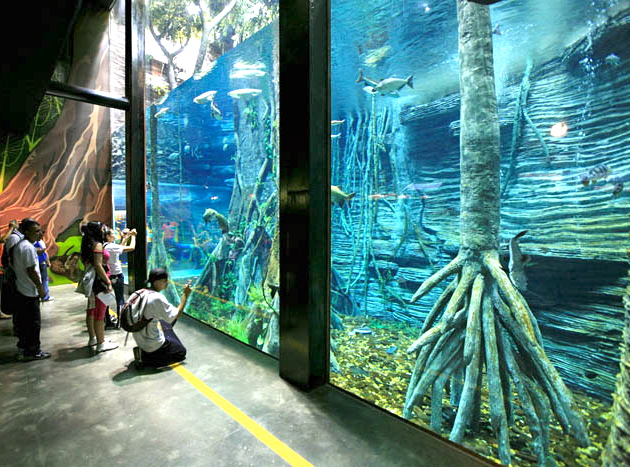 Pasantia Arquitectura: PARQUE EXPLORA