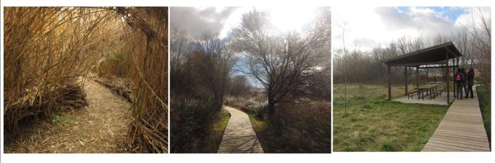 Padul te Espera ¡Descúbrelo!: Padul te espera,¡descúbrelo!