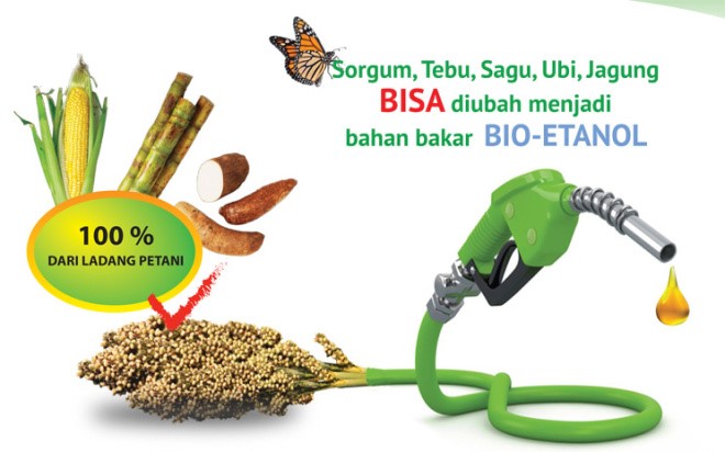 DroomSter: Keunggulan dan Kelemahan Biofuel