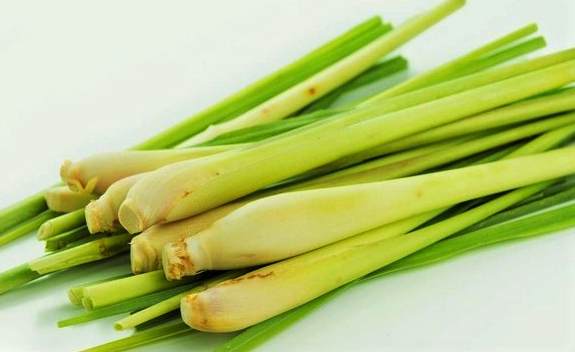 Manfaat Daun Sereh Untuk Kesehatan