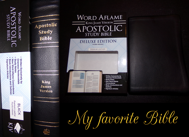 Amanda for Jesus: Apostolic Study Bible By Word AFlame