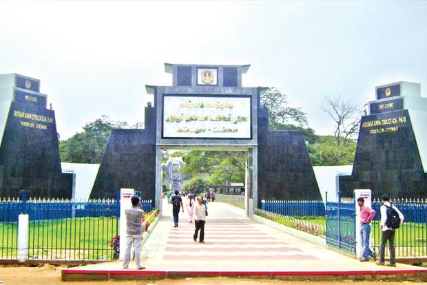 Vandalur zoo visit in Arignar Anna Zoological Park, Vandalur, Chennai ...