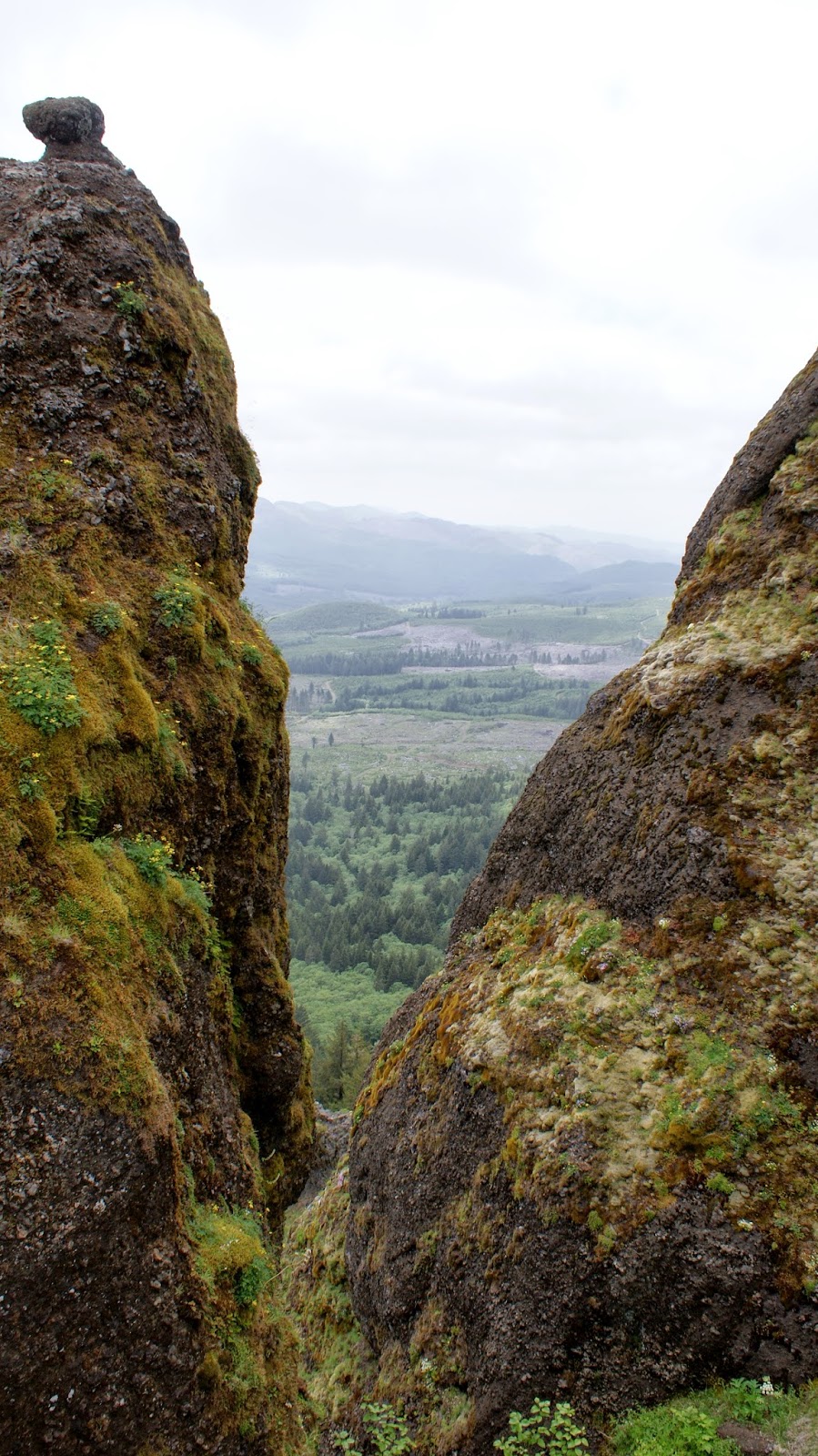 TrailMixxx: Saddle Mountain State Park- Saddle, Oregon