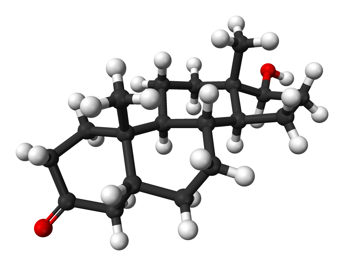 What is Dihydrotestosterone (DHT)?