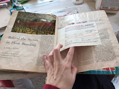 .: How I'm Making a Memory Journal From a Magazine - Part 1