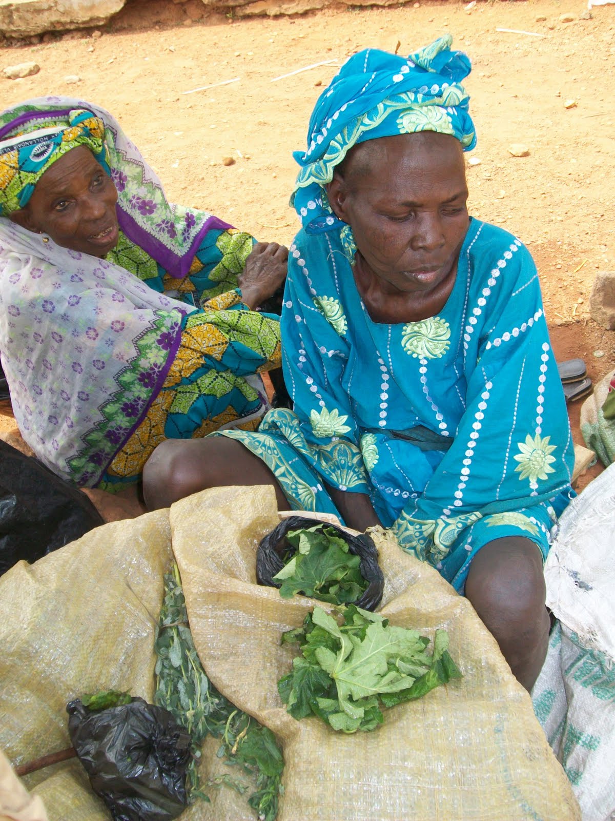 Taiwo's World: Igbo Ora, the home of twins