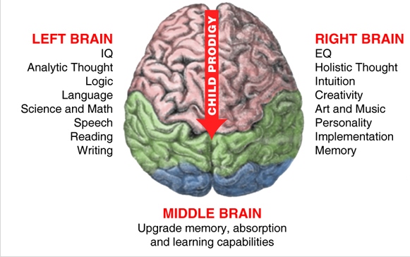 Mid brain activation: MID BRAIN