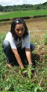 The CAPSU RDE Monitor: CapSU Pontevedra’s ALAY-Kaunlaran named PASUC 6 ...