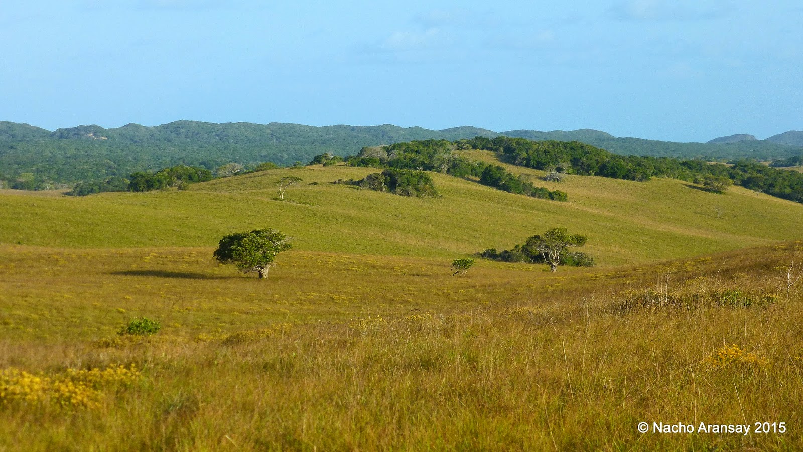 ¡NWADZINGUELE: MOZAMBIQUE!: La Reserva Especial de Maputo
