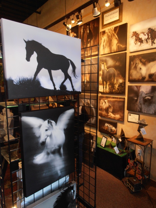 What's new At Frame By Frame: Susan Williams Artist Reception 3/17/2012 ...